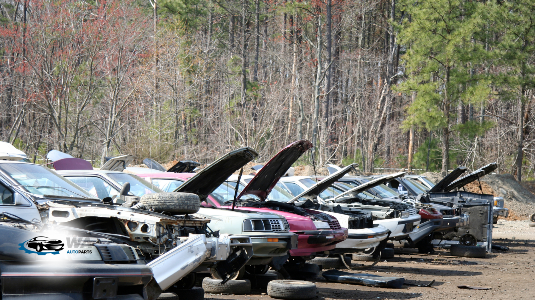 Local Car Scrap Yards Perth